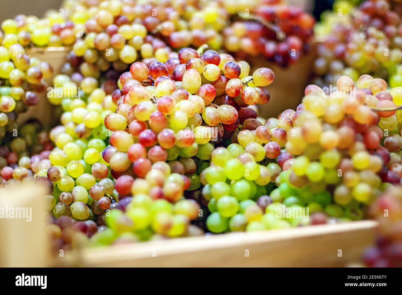 Grapes in boxes hi-res stock photography and images - Alamy