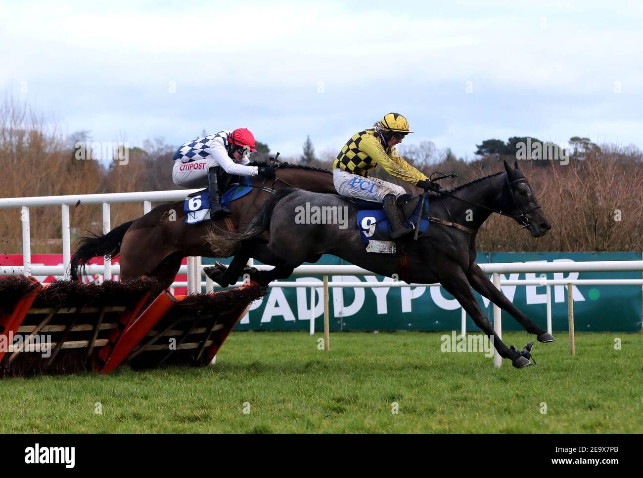 Stable staff at racecourse hi-res stock photography and images - Alamy