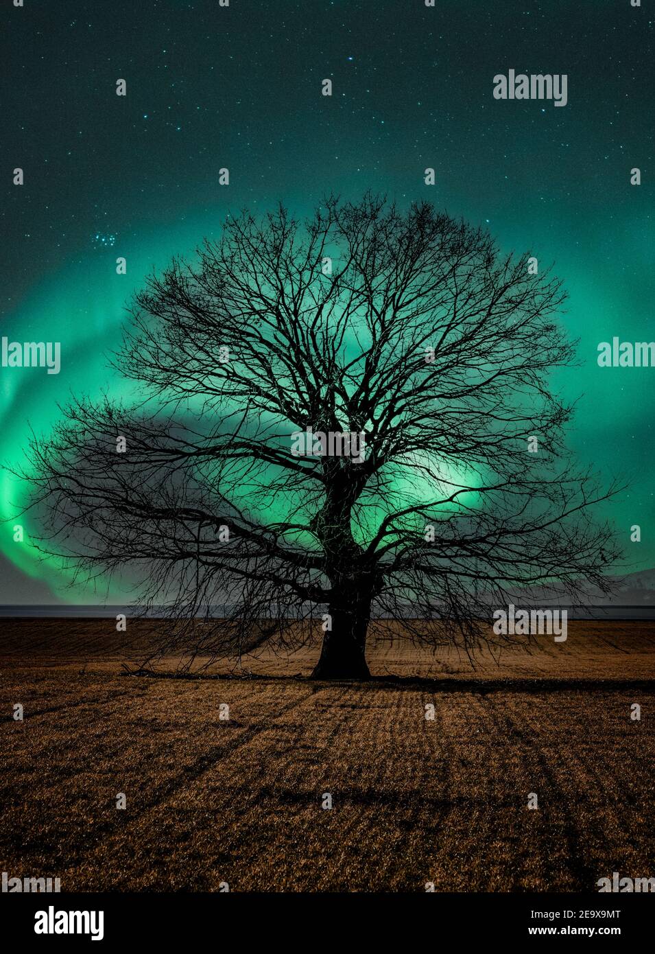 Beautiful northern lights elements hi-res stock photography and images ...