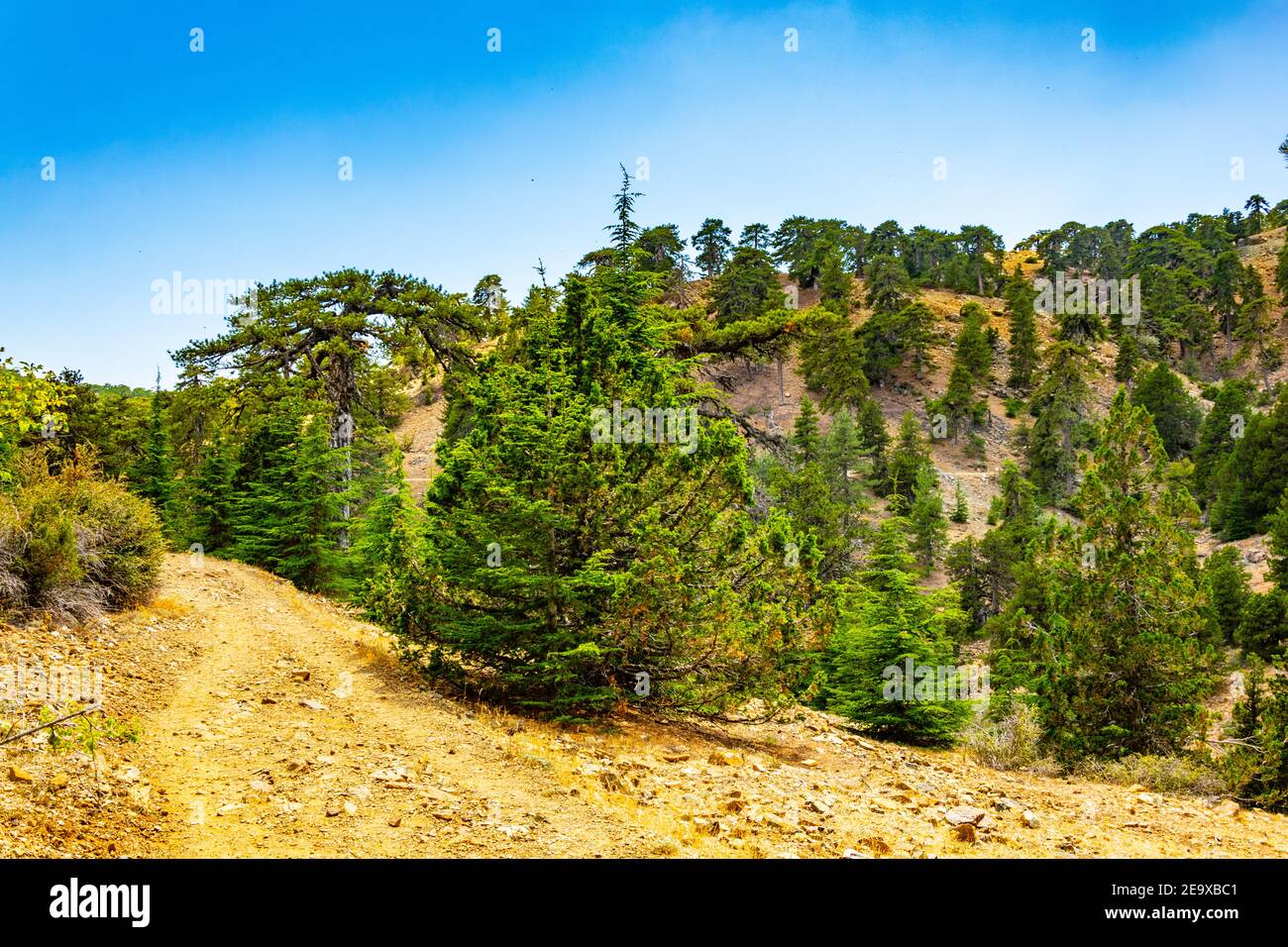 Olympos cyprus hi-res stock photography and images - Alamy