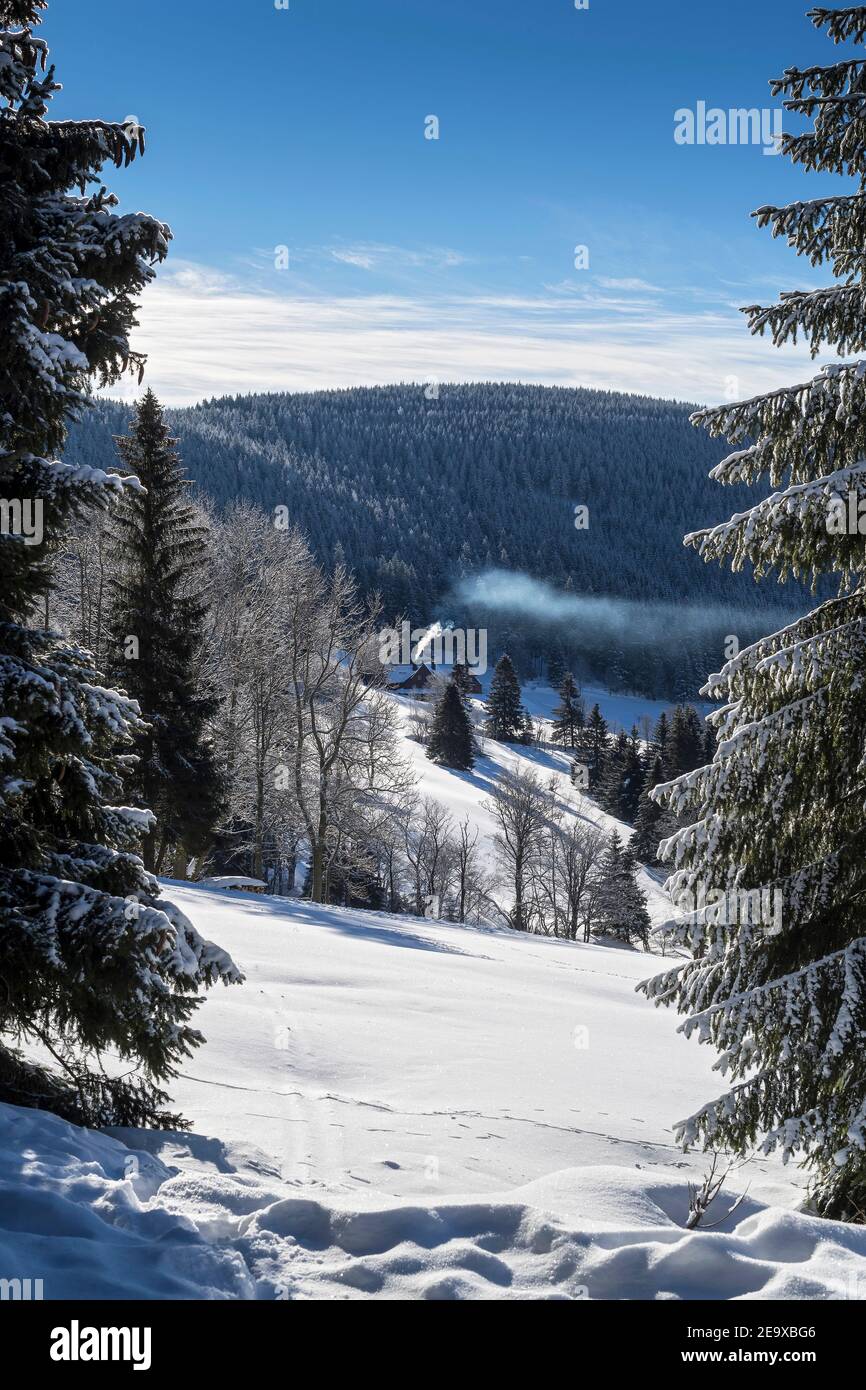 morning snowy countryside with trees Stock Photo - Alamy