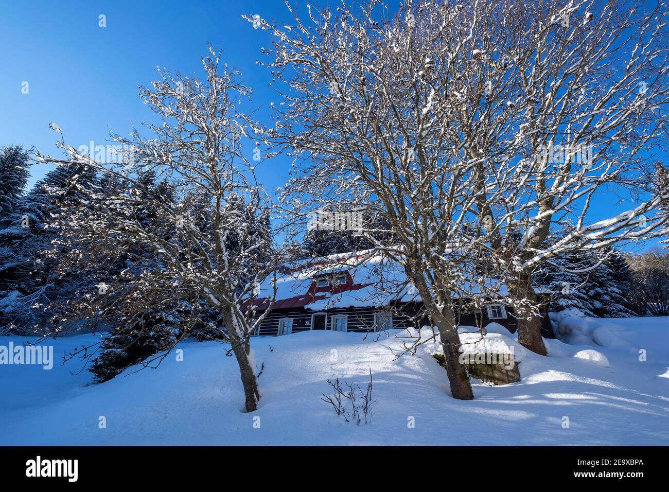 Mantle of snow hi-res stock photography and images - Alamy