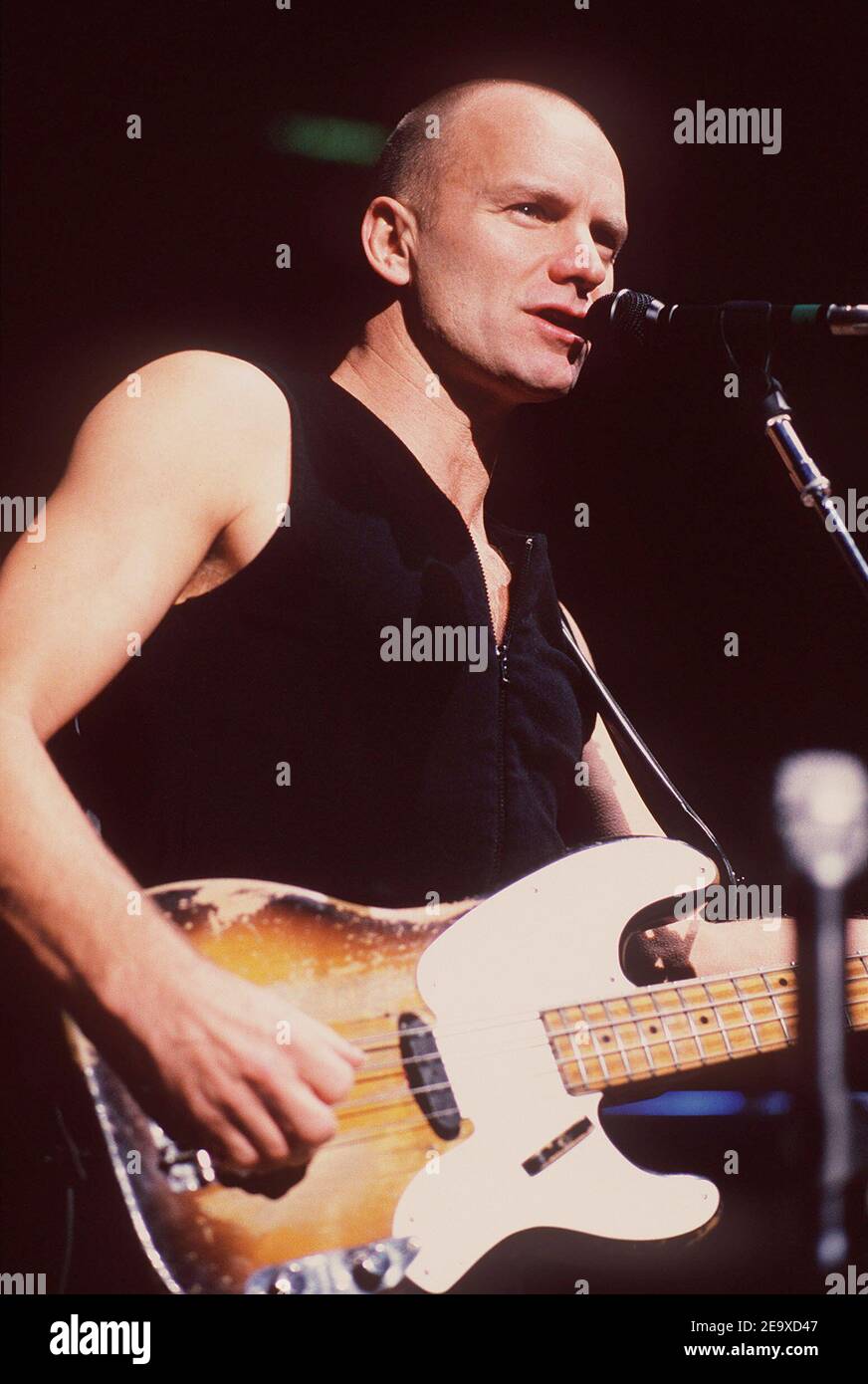 Musician sting performing royal albert hall hi-res stock photography ...