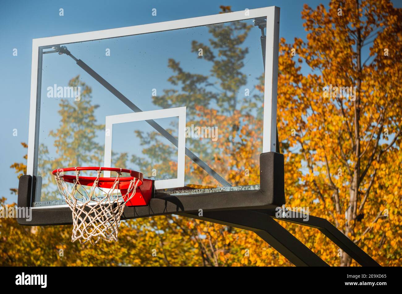 Basketball hoop with net and transparent board in autumn park with blue ...