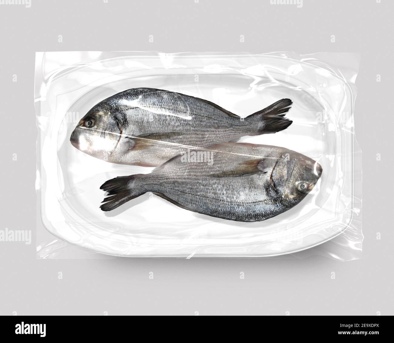 Food packaging isolated with smoked mackerel top view Stock Photo - Alamy