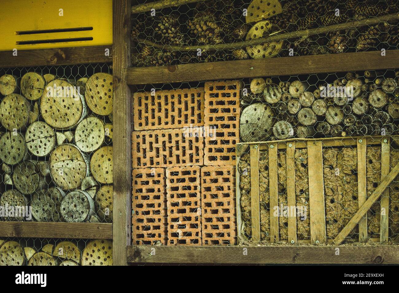 Bee hotel. A designed home for wild bees. Found at the wildlife park in ...
