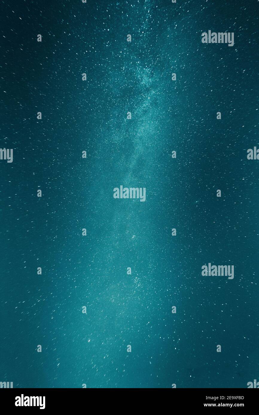 Vertical shot of the Milky Way galaxy in the night sky full of shining ...