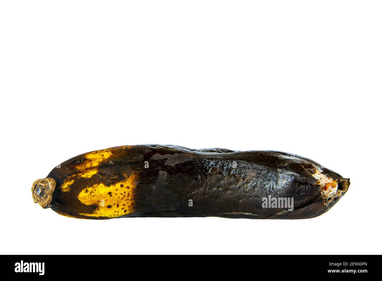 Old rotting banana on hi-res stock photography and images - Alamy