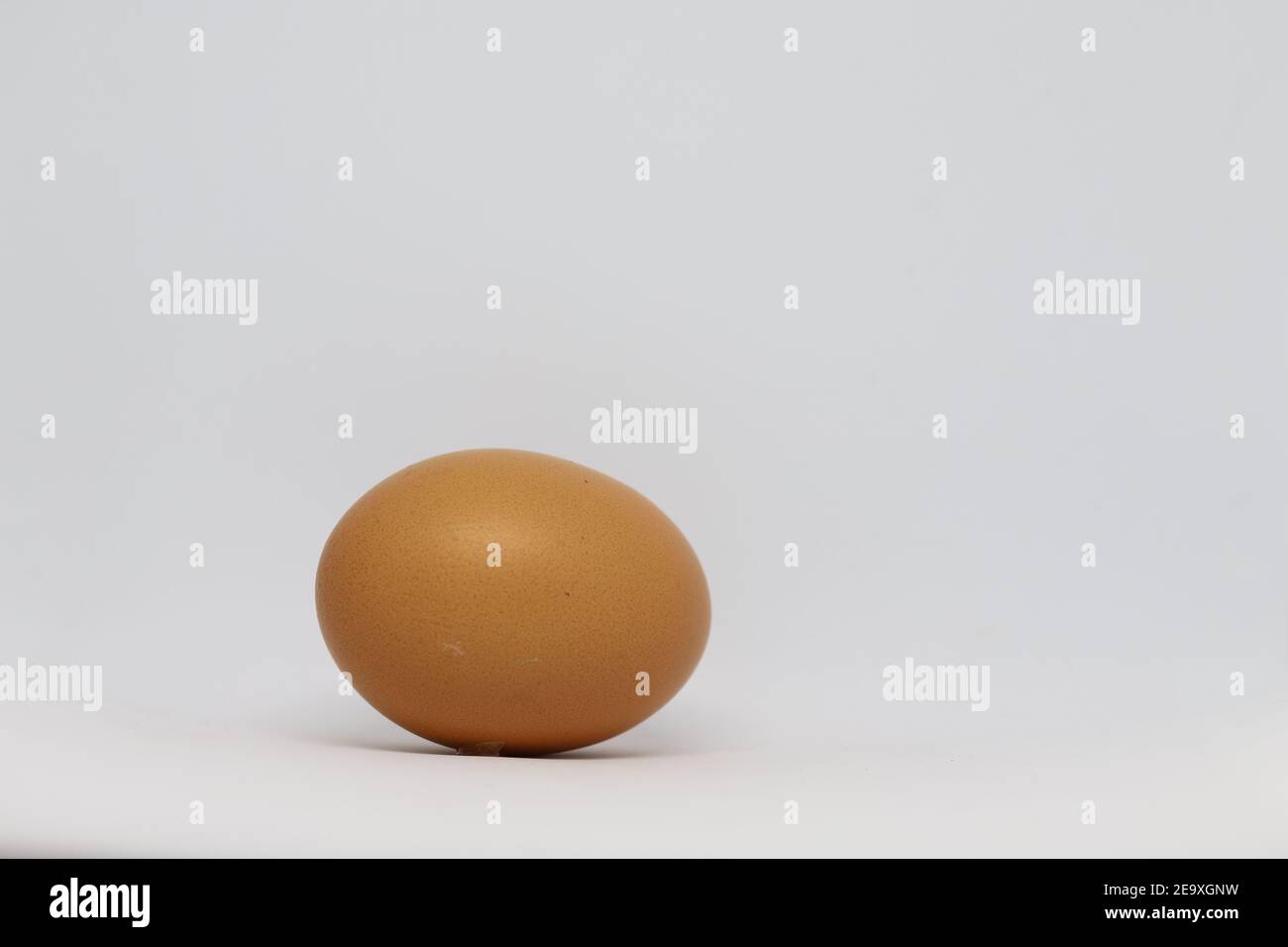 One farm fresh brown shell egg on a white background Stock Photo - Alamy