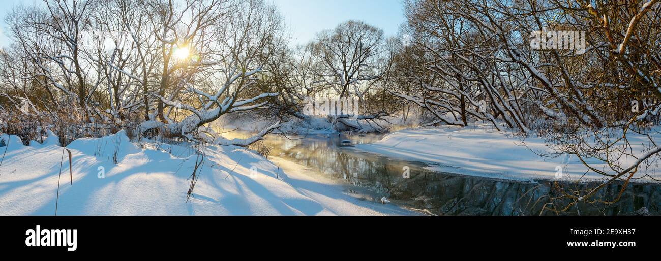 Frosty winter panoramic landscape with forest river during sunny ...