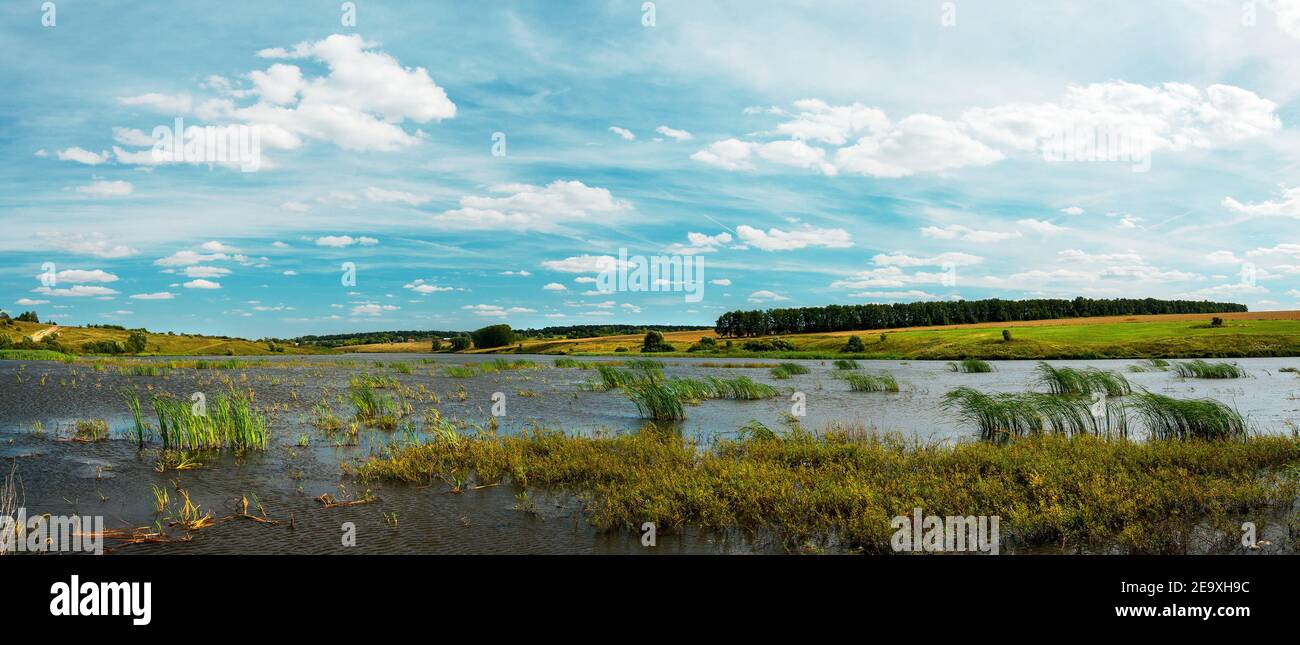Summer landscape with river with growing grass Stock Photo - Alamy