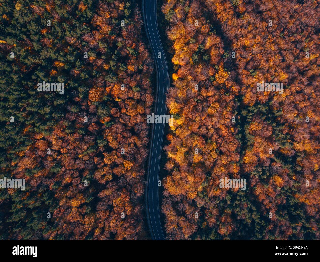 Aerial rising drone shot forest hi-res stock photography and images - Alamy
