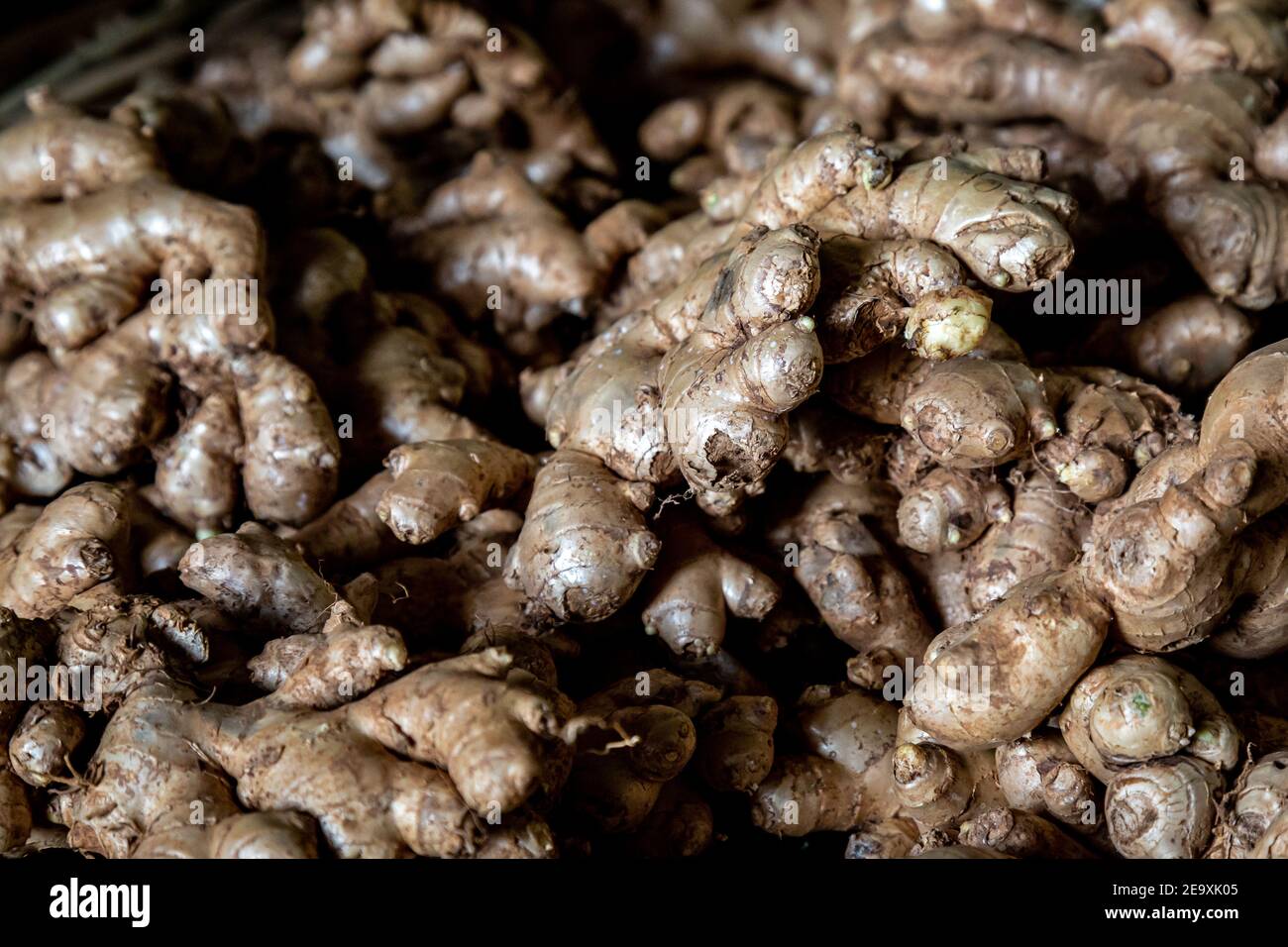 A full frame photograph of ginger root for sale on a market stall Stock ...