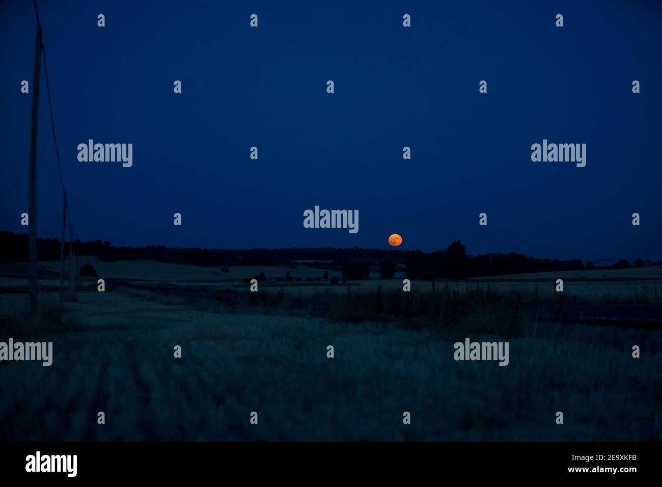 Moon summer wheat hi-res stock photography and images - Alamy