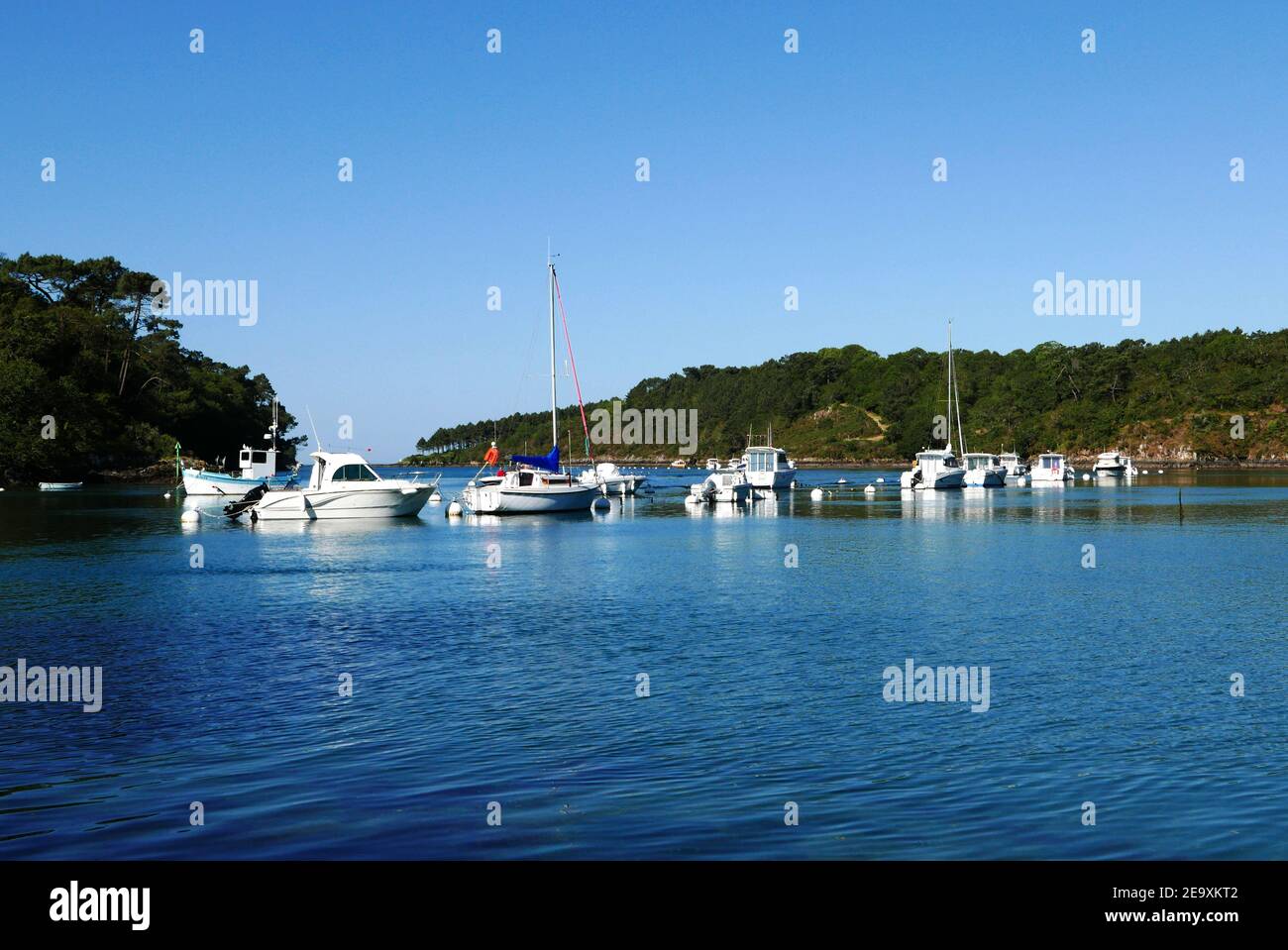 Riec sur Belon harbour on the Belon river, Finistere, Bretagne ...