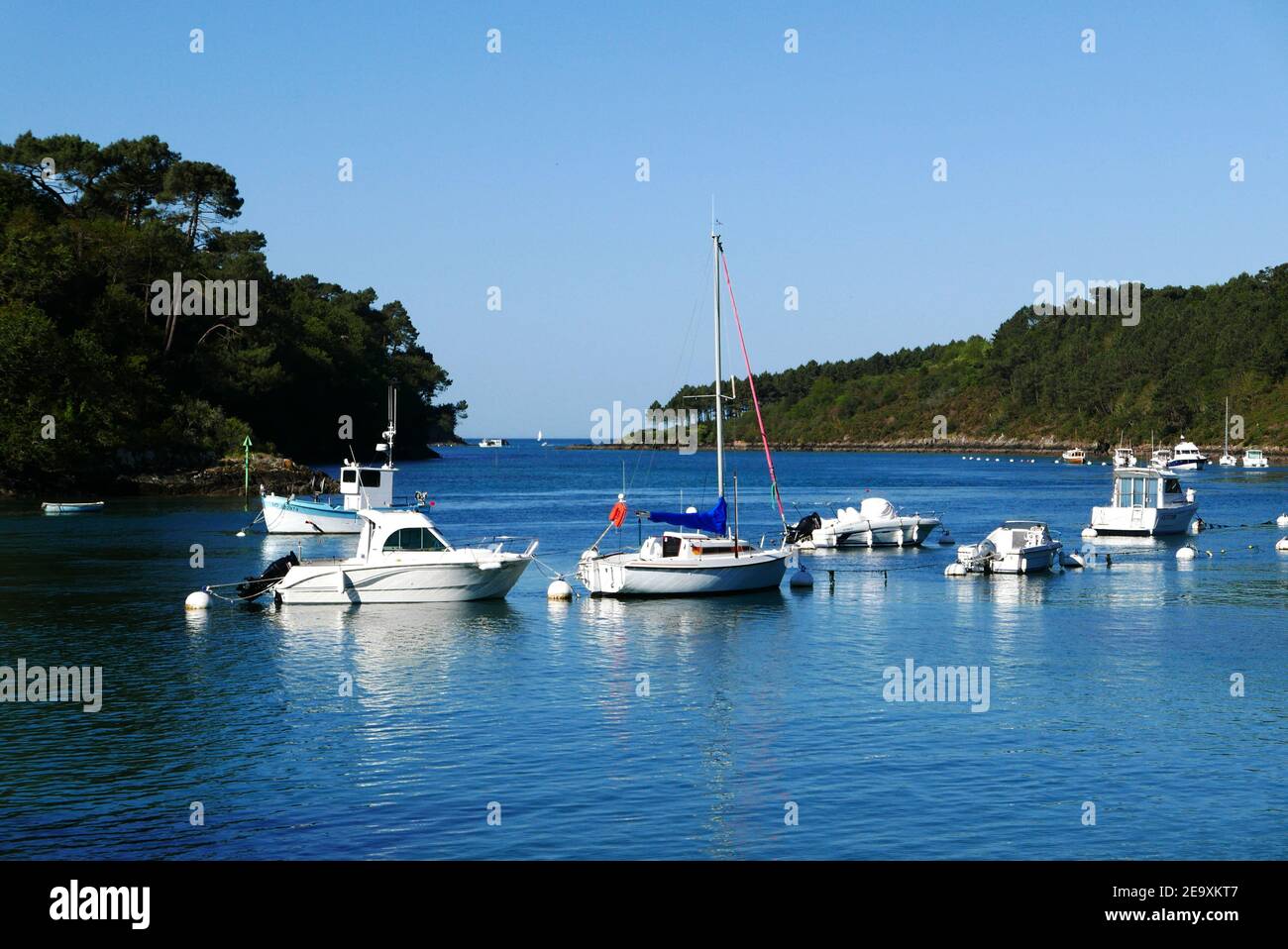 Riec sur Belon harbour on the Belon river, Finistere, Bretagne ...