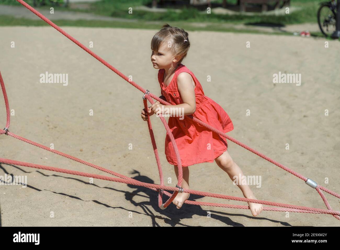 cute little three year old child in a red dress in a rope spider web at ...
