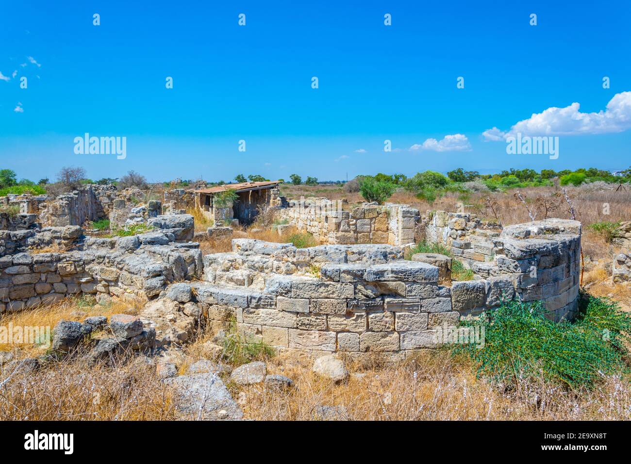 Ruins of ancient Salamis archaeological site near Famagusta, Cyprus ...
