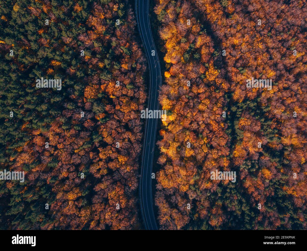 Aerial view above a road, fall color forest, sunny, autumn day - top ...