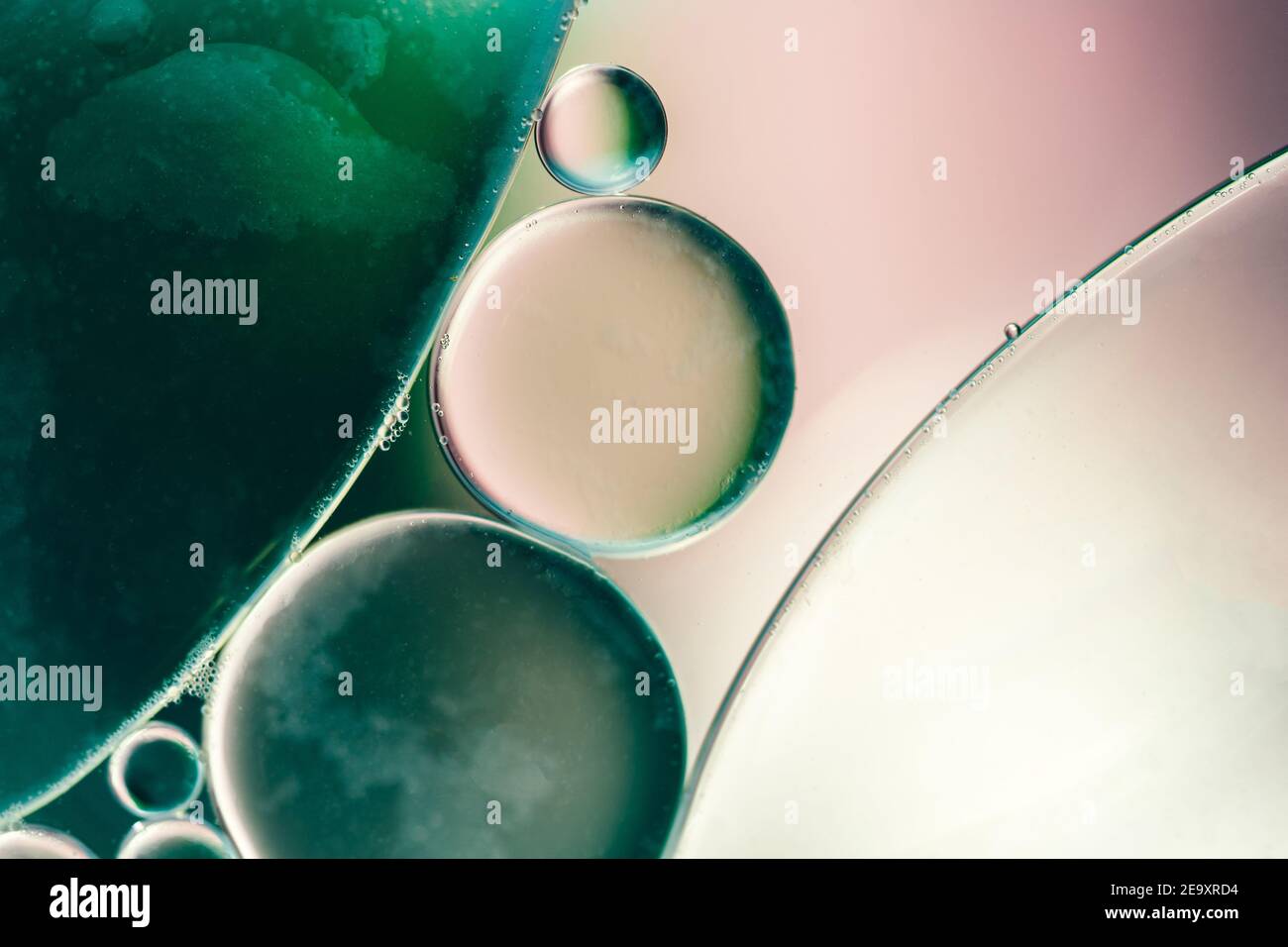 Different cell sizes hi-res stock photography and images - Alamy