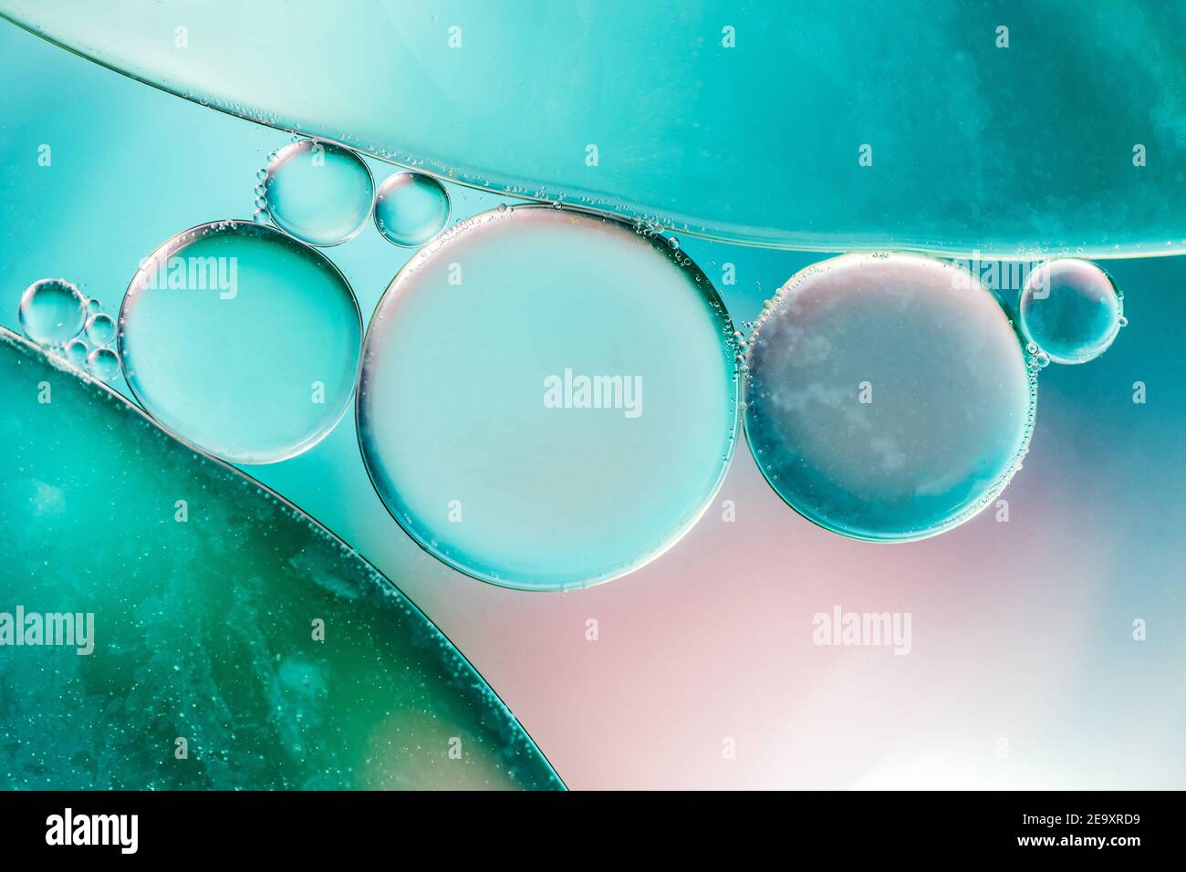 Closeup of abstract background with round shaped cells of vaccine of ...