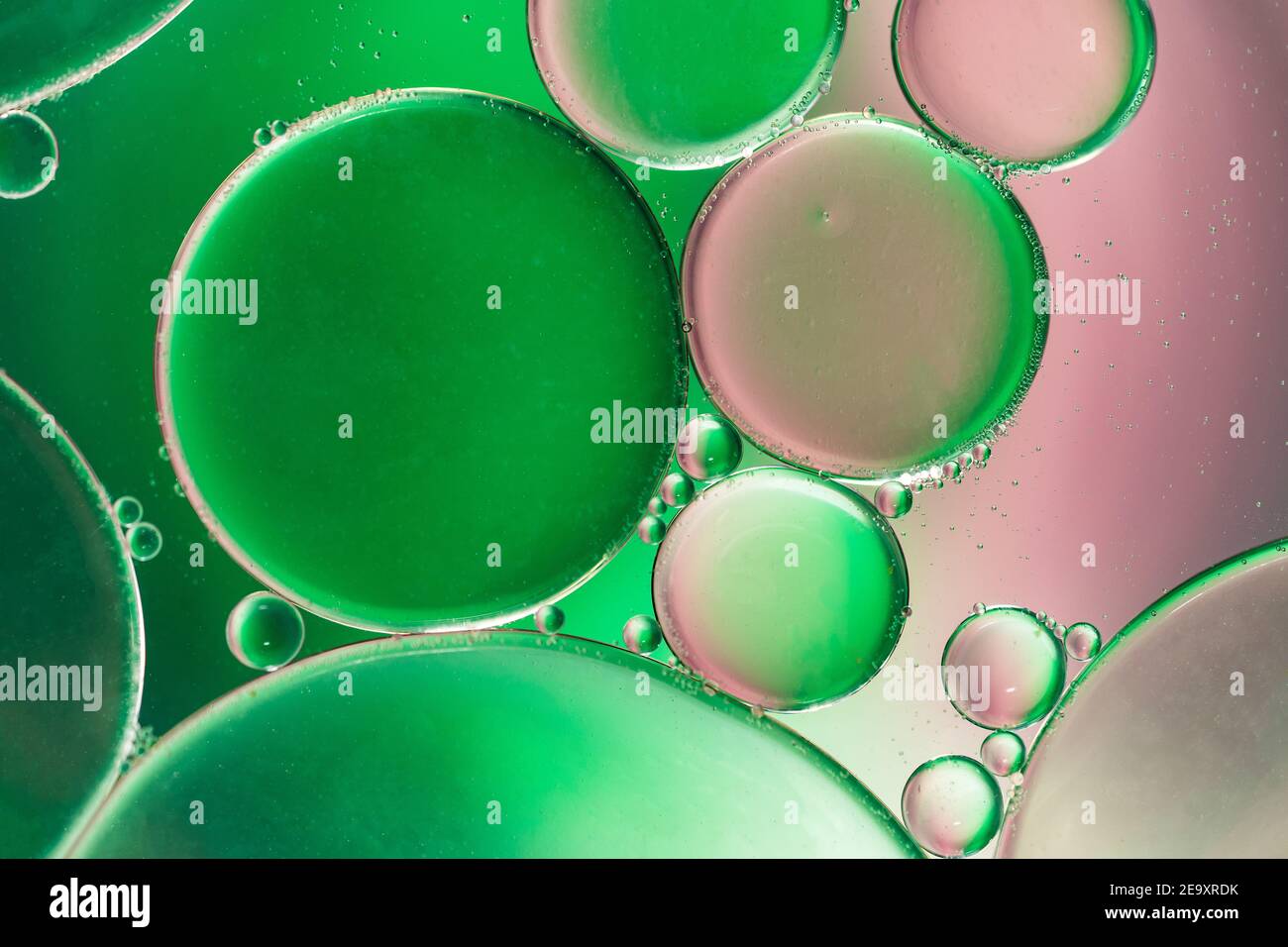 Closeup of abstract background with round shaped cells of vaccine of ...
