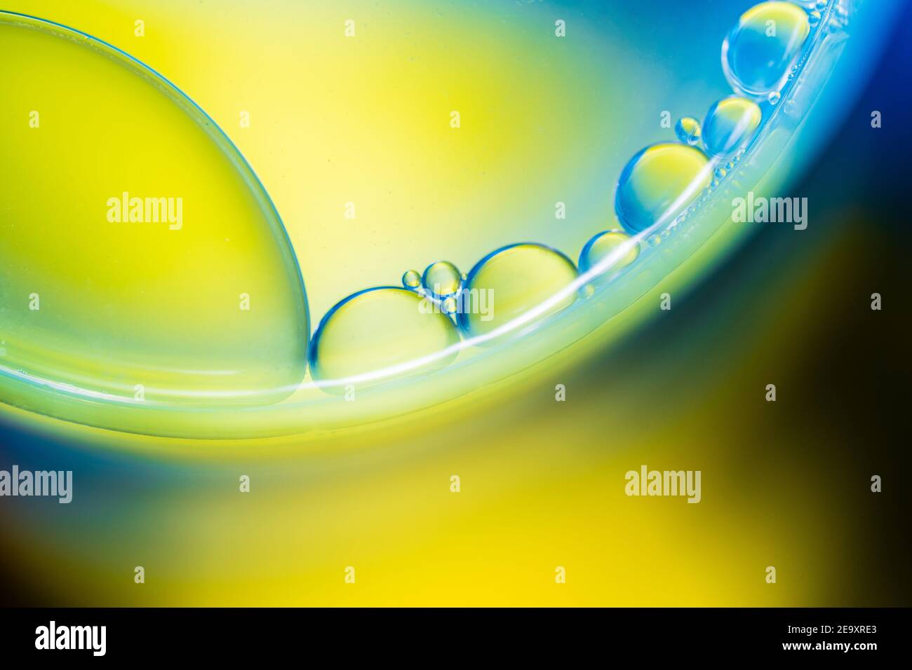 Different cell sizes hi-res stock photography and images - Alamy