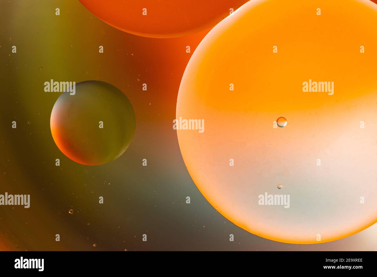 Closeup of abstract background with round shaped cells of vaccine of ...