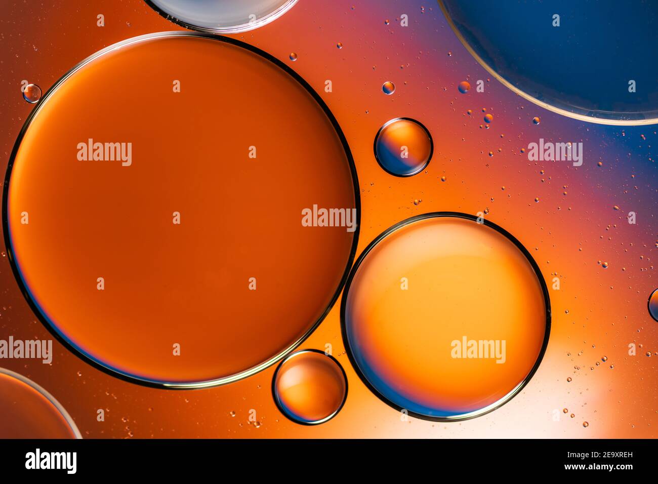 Closeup of abstract background with round shaped cells of vaccine of ...