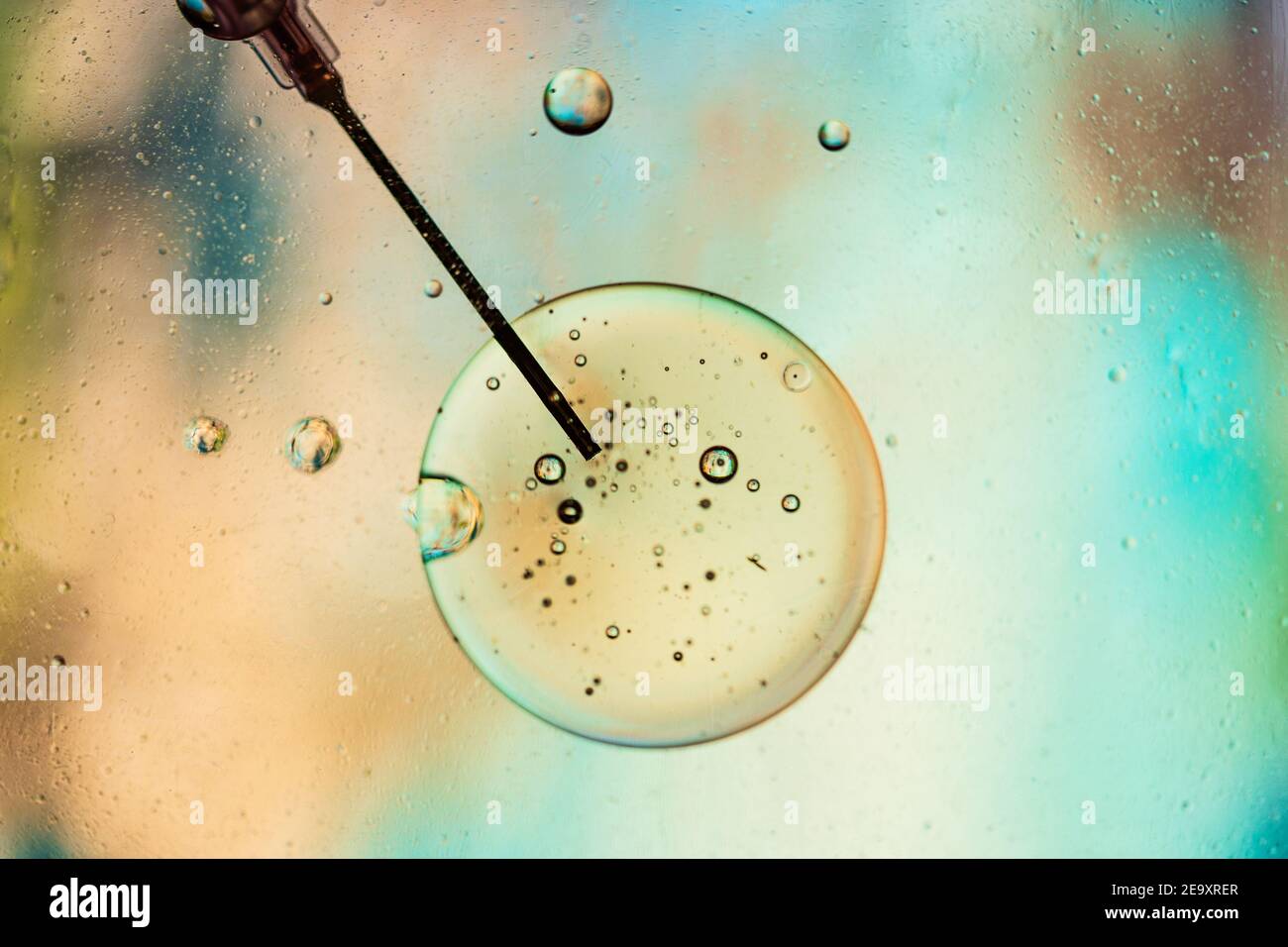 Closeup of needle of syringe filled with vaccine from virus injected in ...