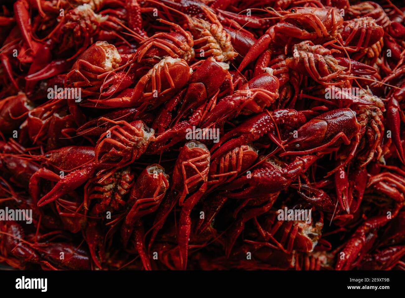 From above full frame background of pile of red shell covered ...