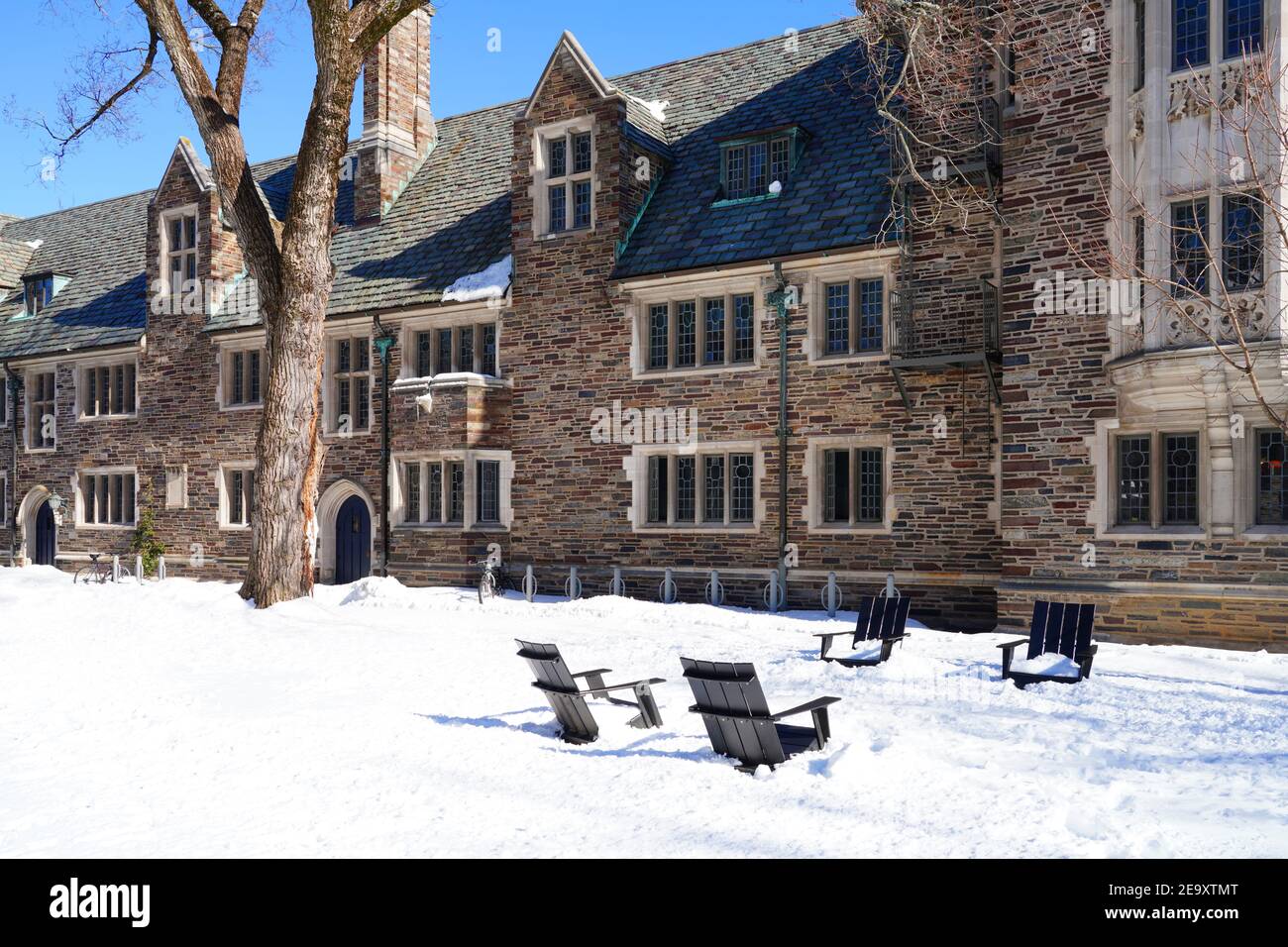Princeton University Campus Snow