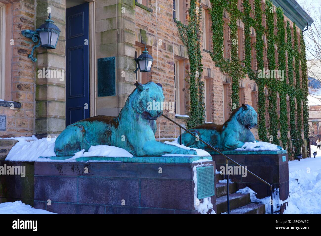 PRINCETON, NJ -4 FEB 2021- View of landmark tiger sculptures on the ...