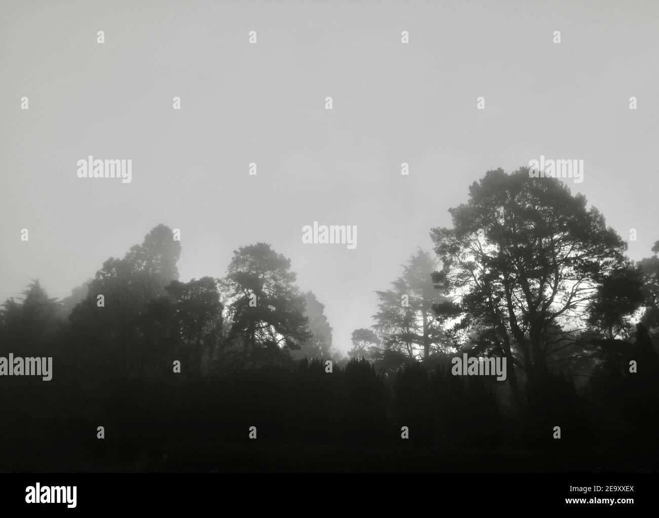 Misty morning in the countryside hi-res stock photography and images ...