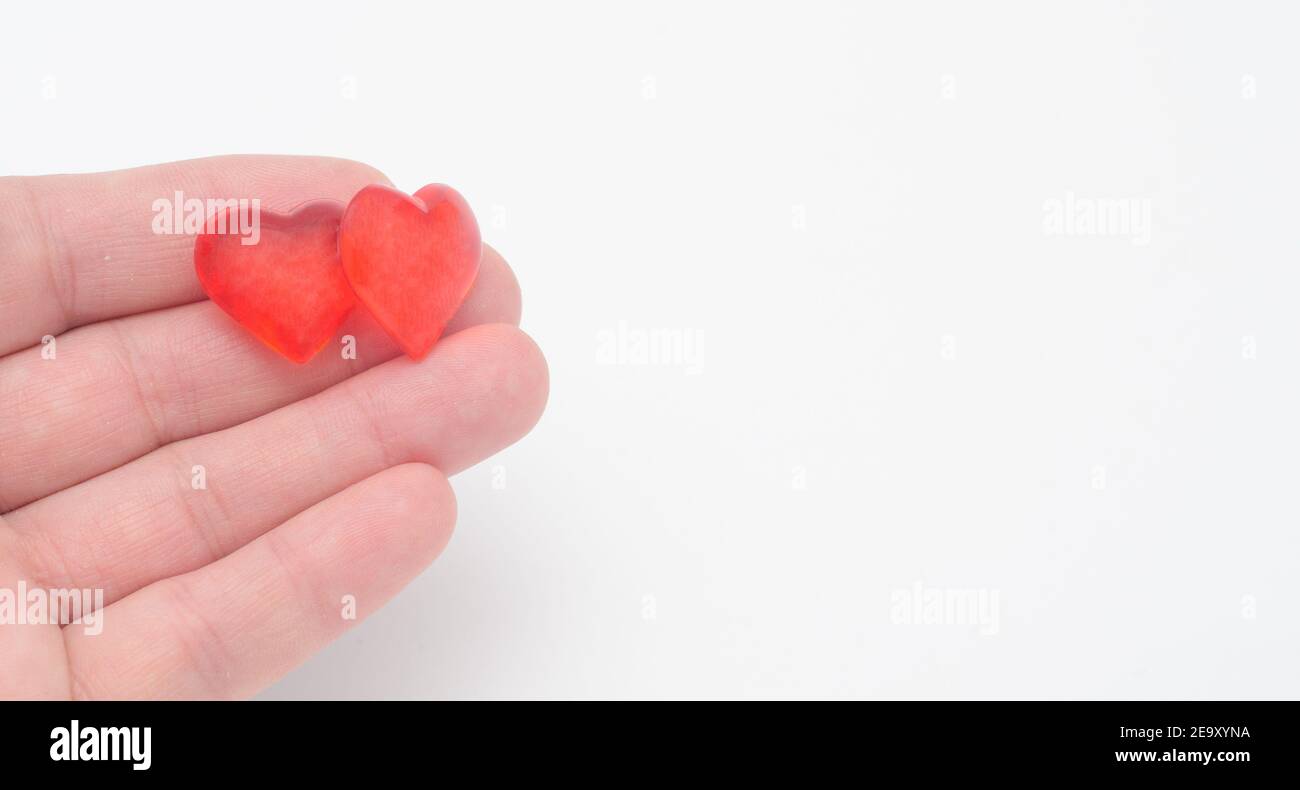The man holds two love valentine day hearts on white background Stock ...
