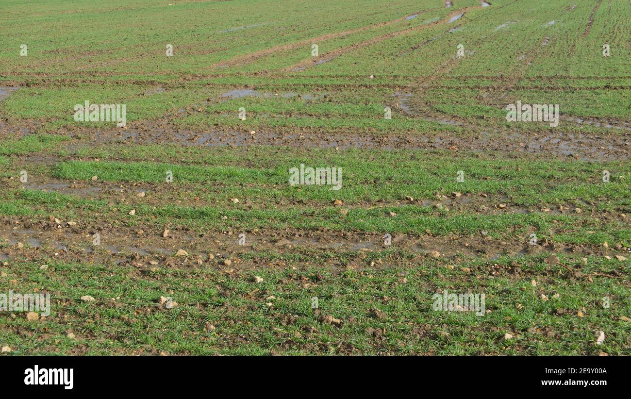 Wet Farm Land High Resolution Stock Photography and Images - Alamy
