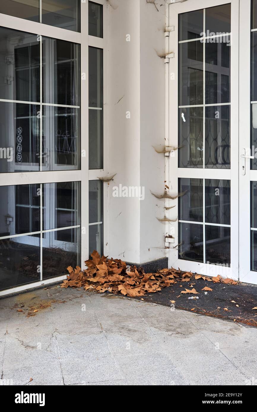 doors of a long-closed public place, covered with cobwebs and with ...