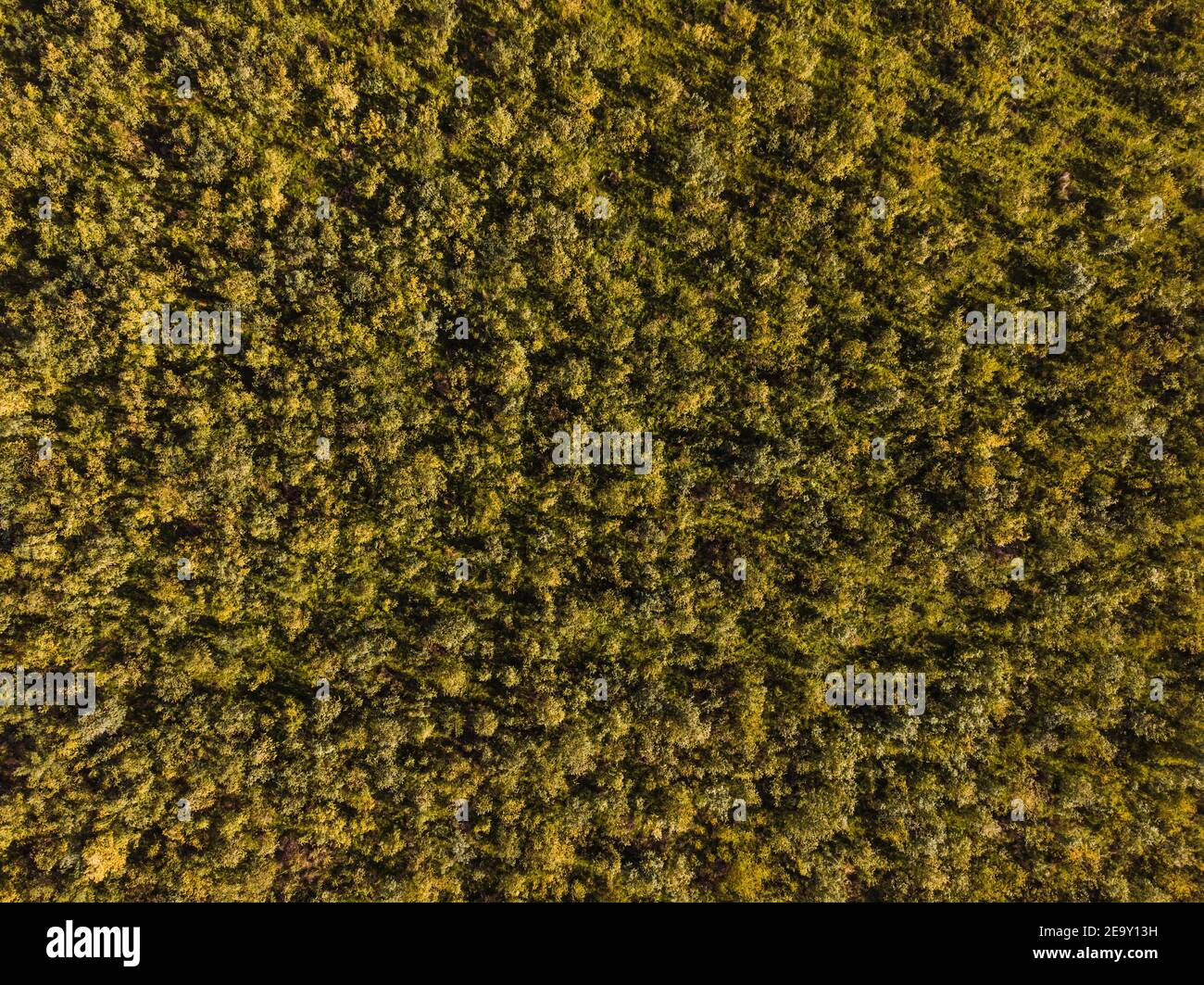 Top down from above hi-res stock photography and images - Alamy