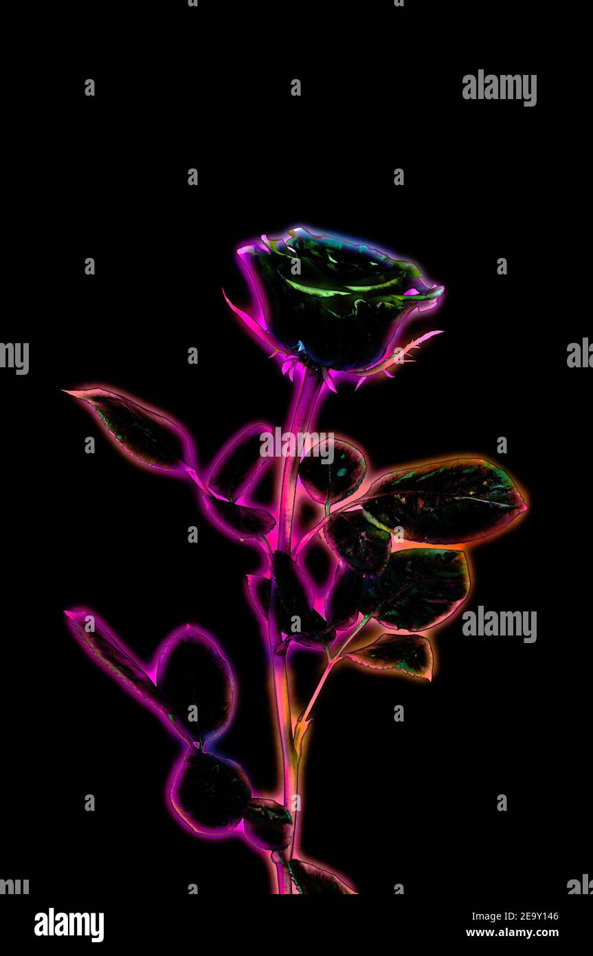 Neon colors hi-res stock photography and images - Alamy