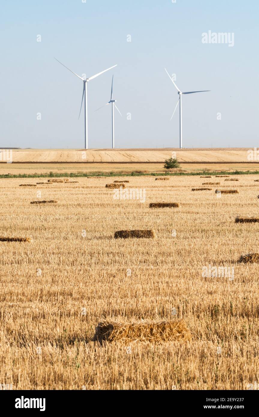 Wind turbines standing in rye field with bales of hay on foreground ...
