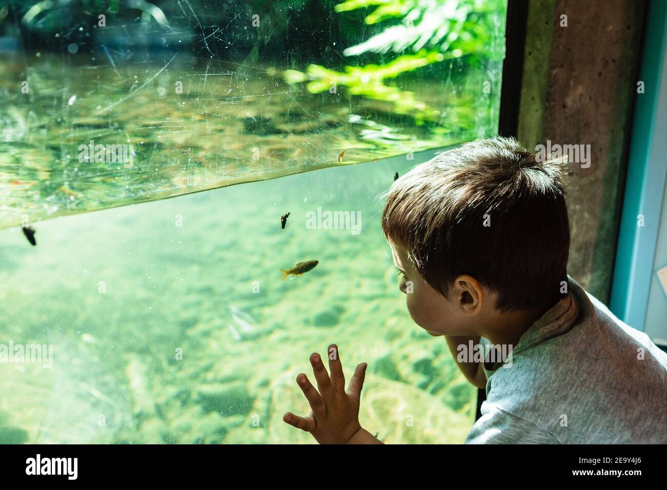 Portland wildlife oregon hi-res stock photography and images - Alamy