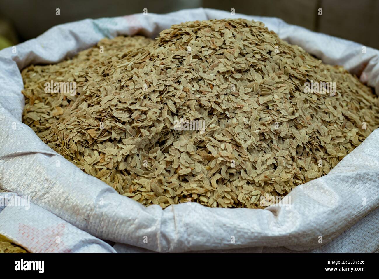 Rice plant description hi-res stock photography and images - Alamy