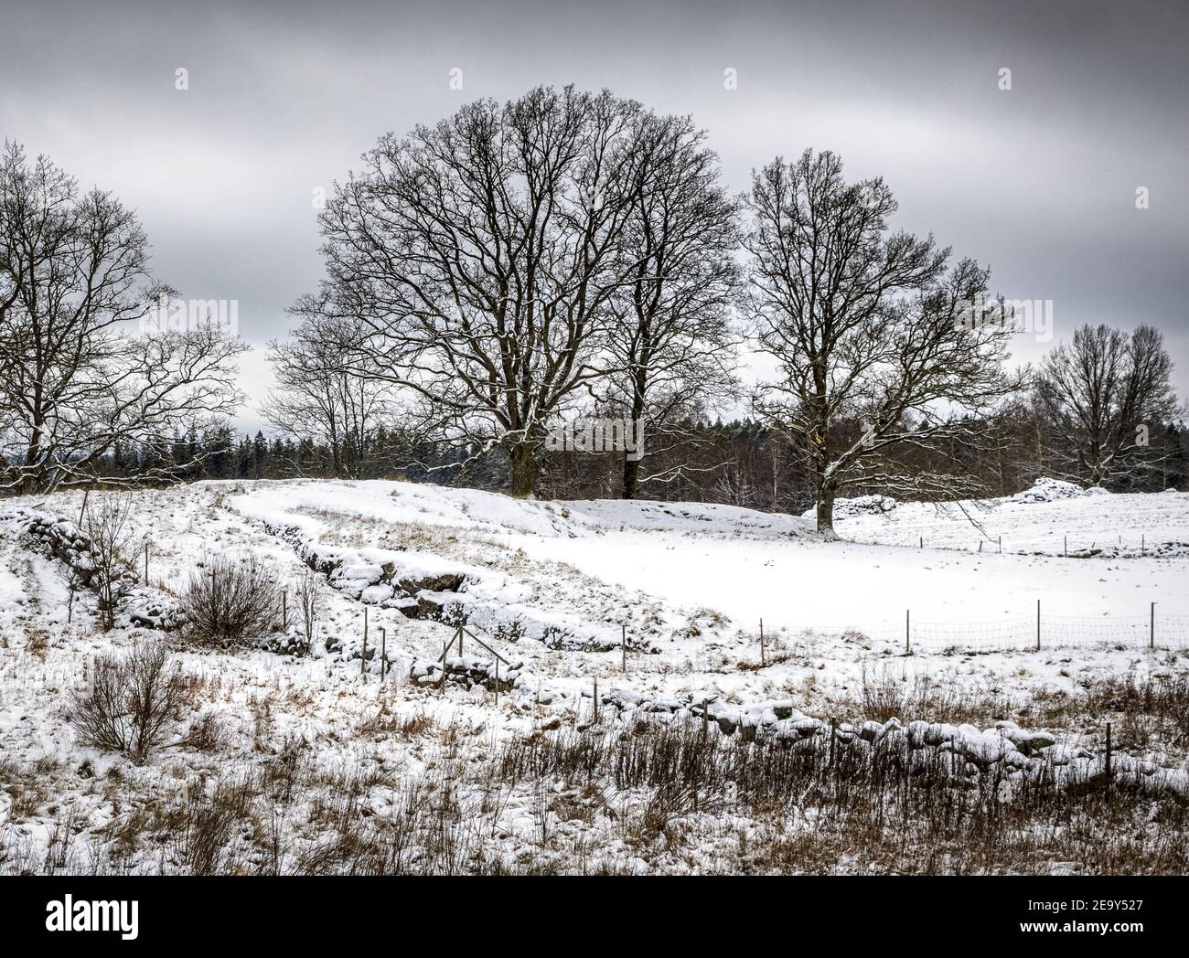 Beautiful winter landscape with the first snow Stock Photo - Alamy