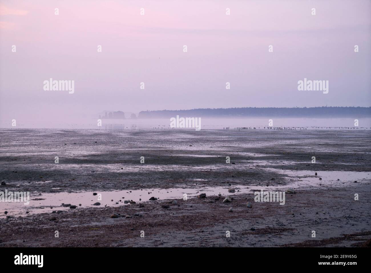Boundary definition hi-res stock photography and images - Alamy