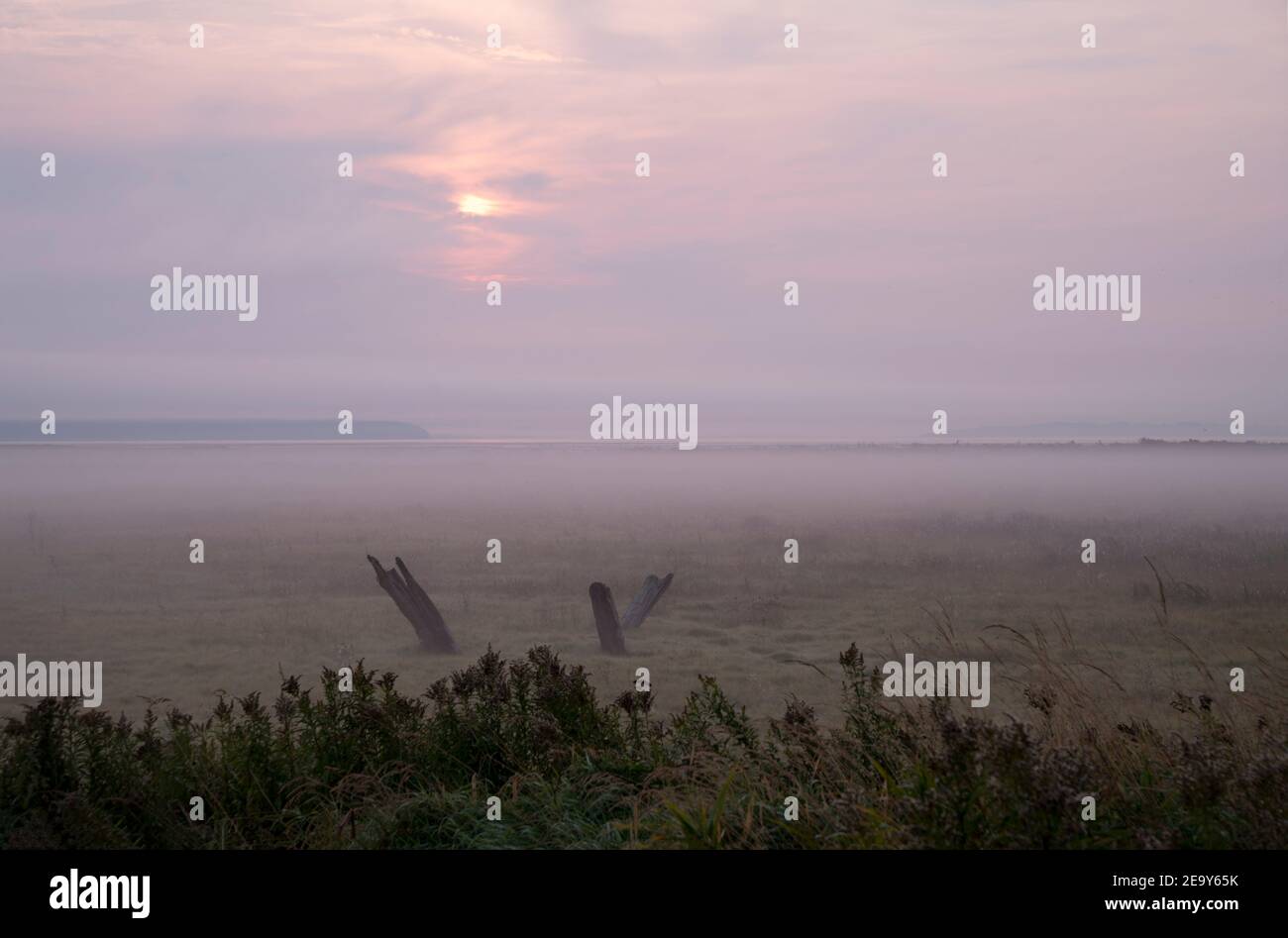 Sunrise at Boundary Bay BC Canada Stock Photo - Alamy