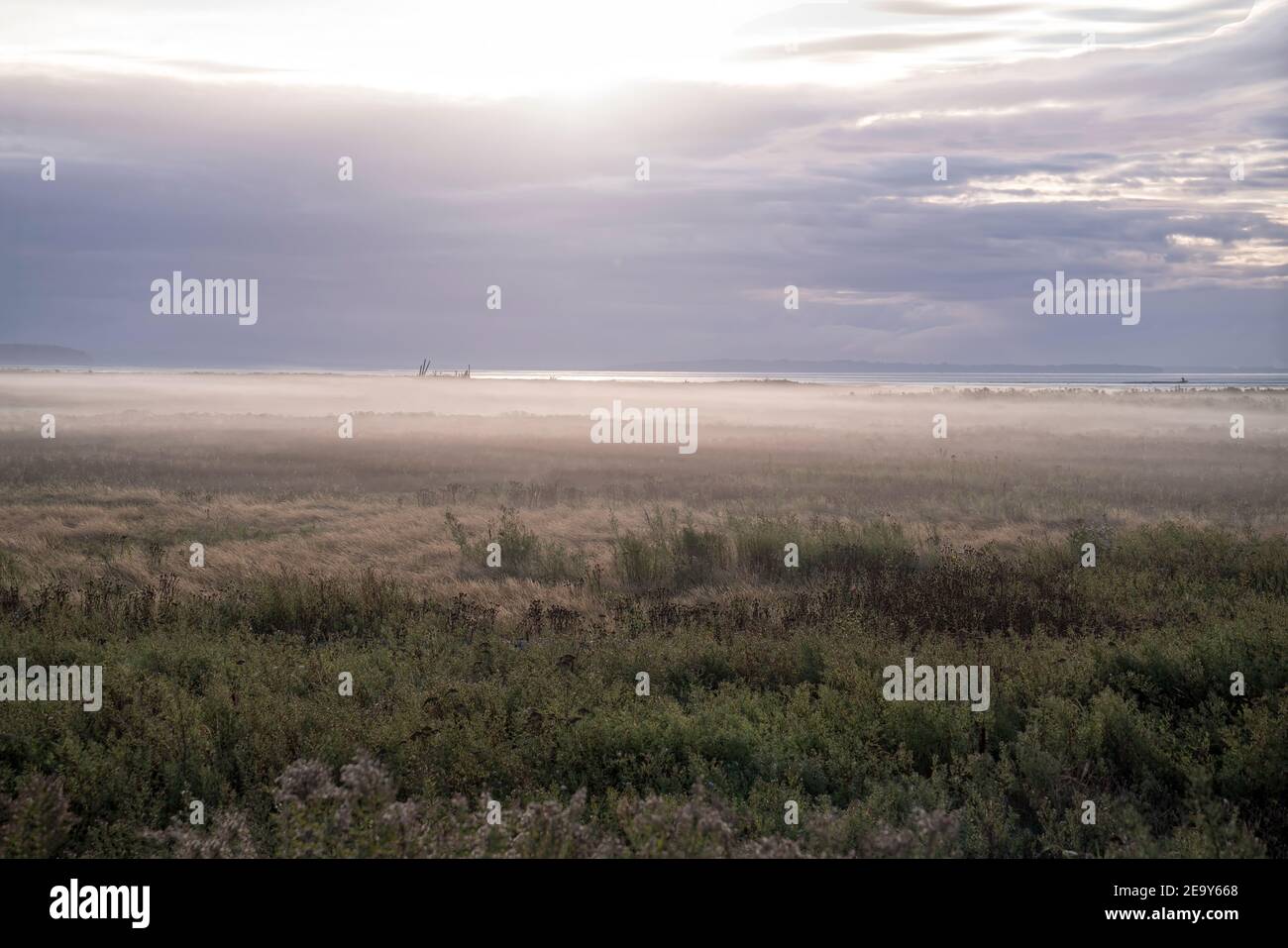 West coast boundary hi-res stock photography and images - Alamy