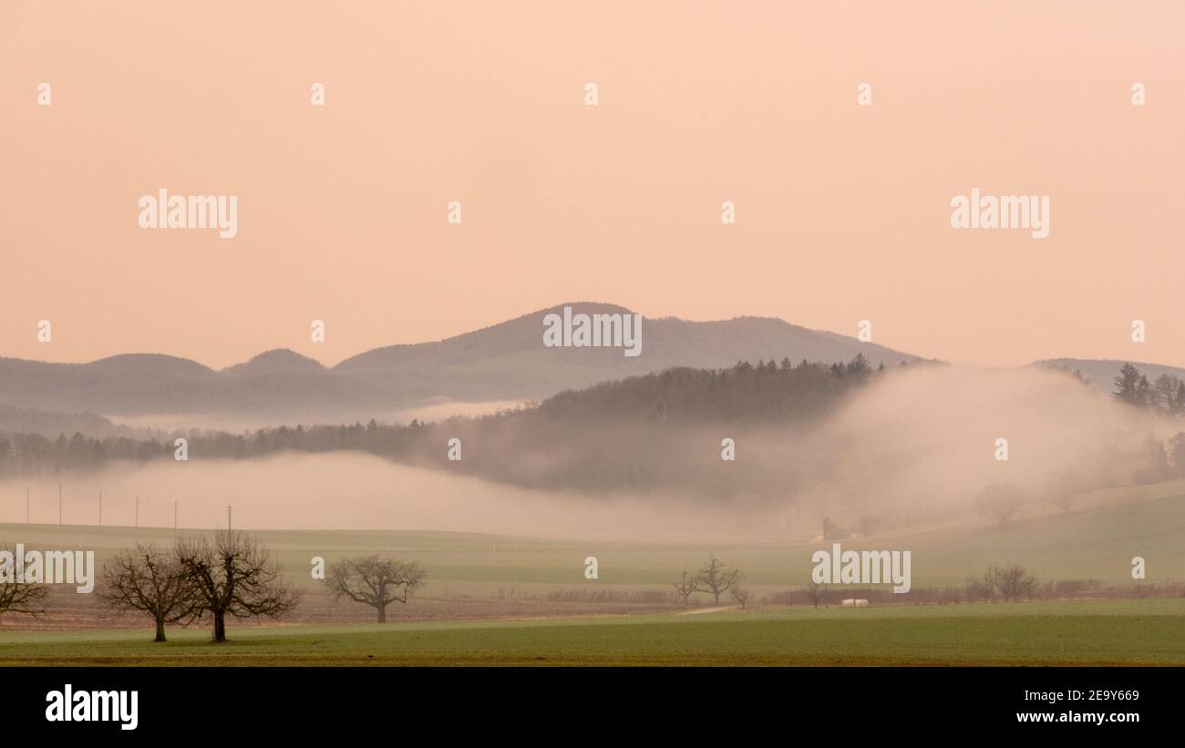Dust covered plants hi-res stock photography and images - Alamy
