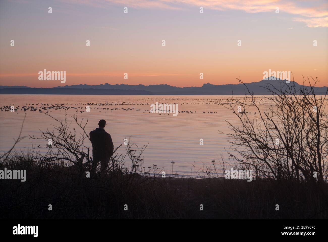 Sunrise at Boundary Bay BC Canada Stock Photo - Alamy