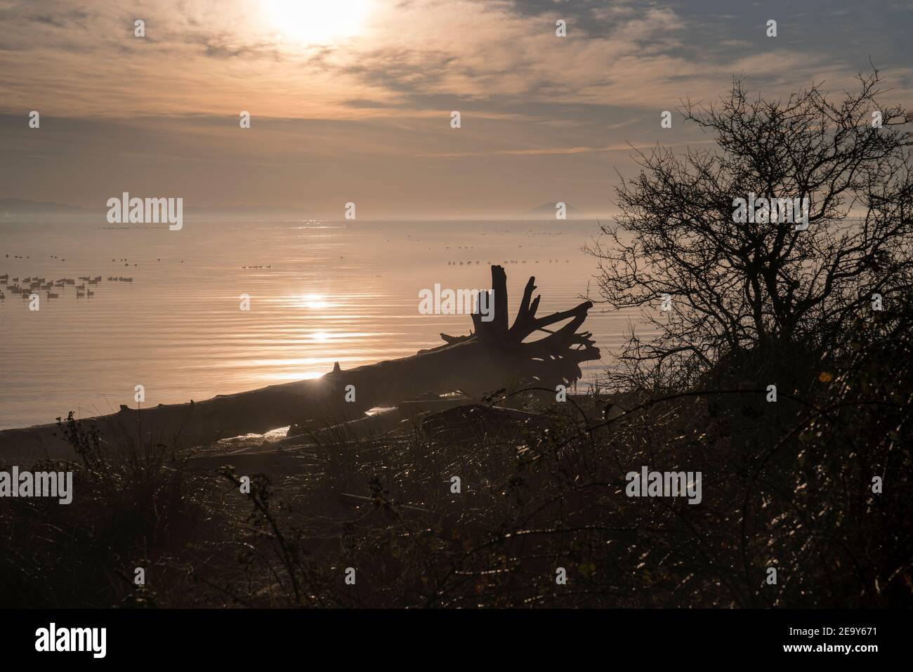 Sunrise at Boundary Bay BC Canada Stock Photo - Alamy
