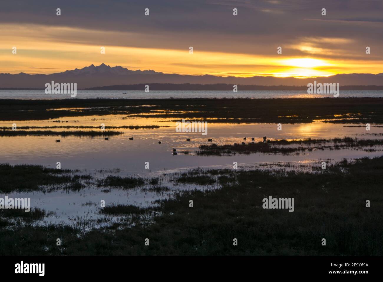 Sunrise at Boundary Bay BC Canada Stock Photo - Alamy